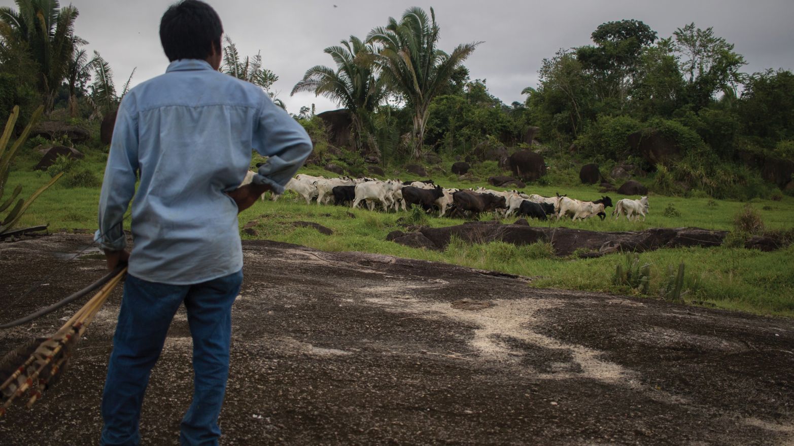 Flashpoints in the Amazon